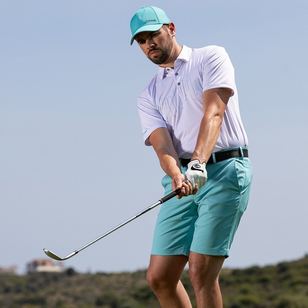Ping Mens Arizona Cactus Print Golf Polo Shirt