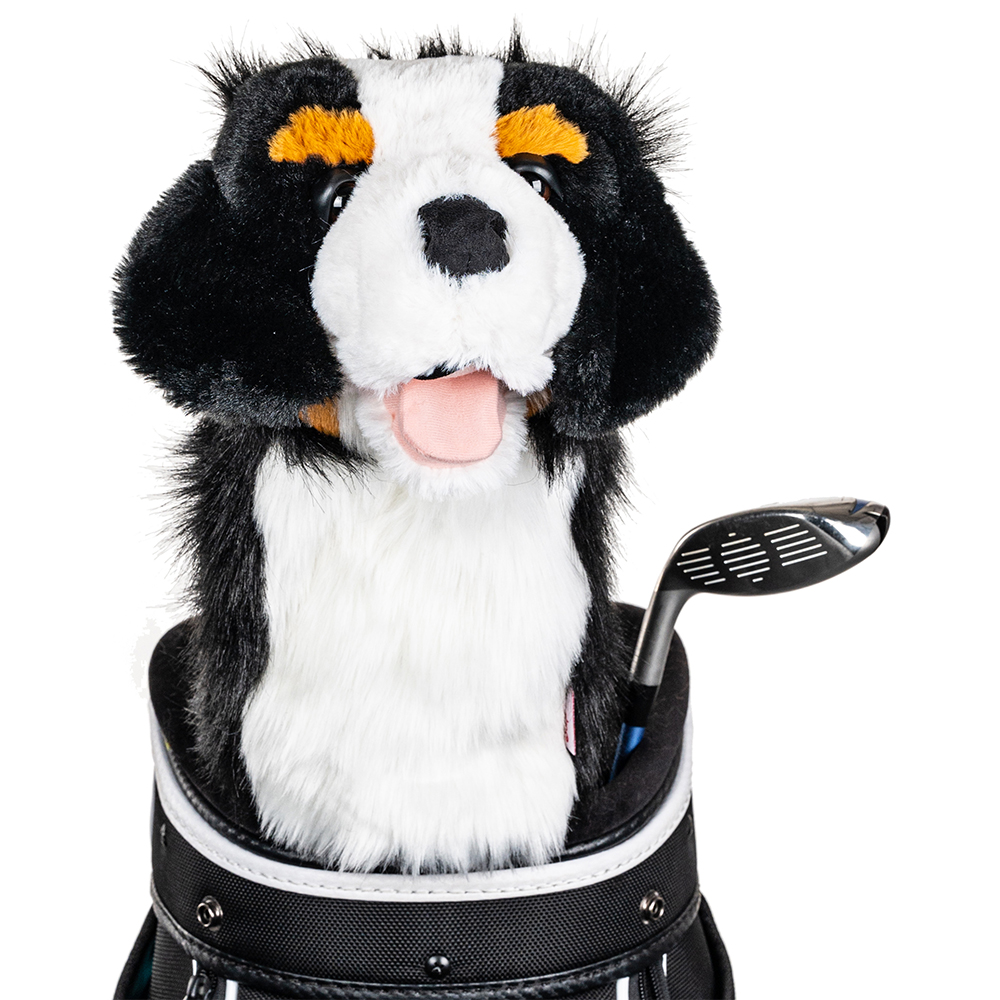 Daphne's Golf Headcover - Burmese Mountain Dog